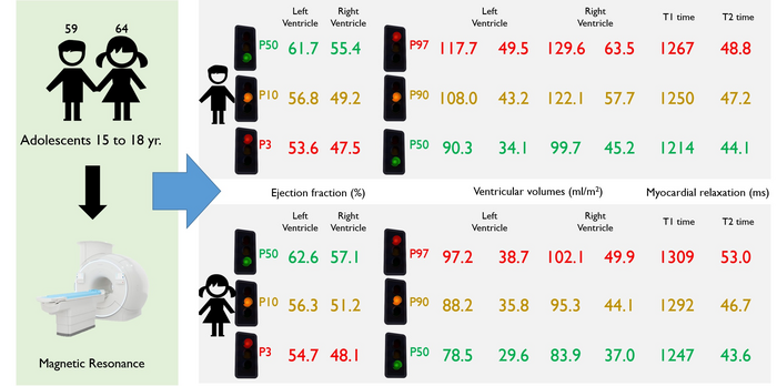 Experts develop cardiac MRI reference values for healthy adolescents