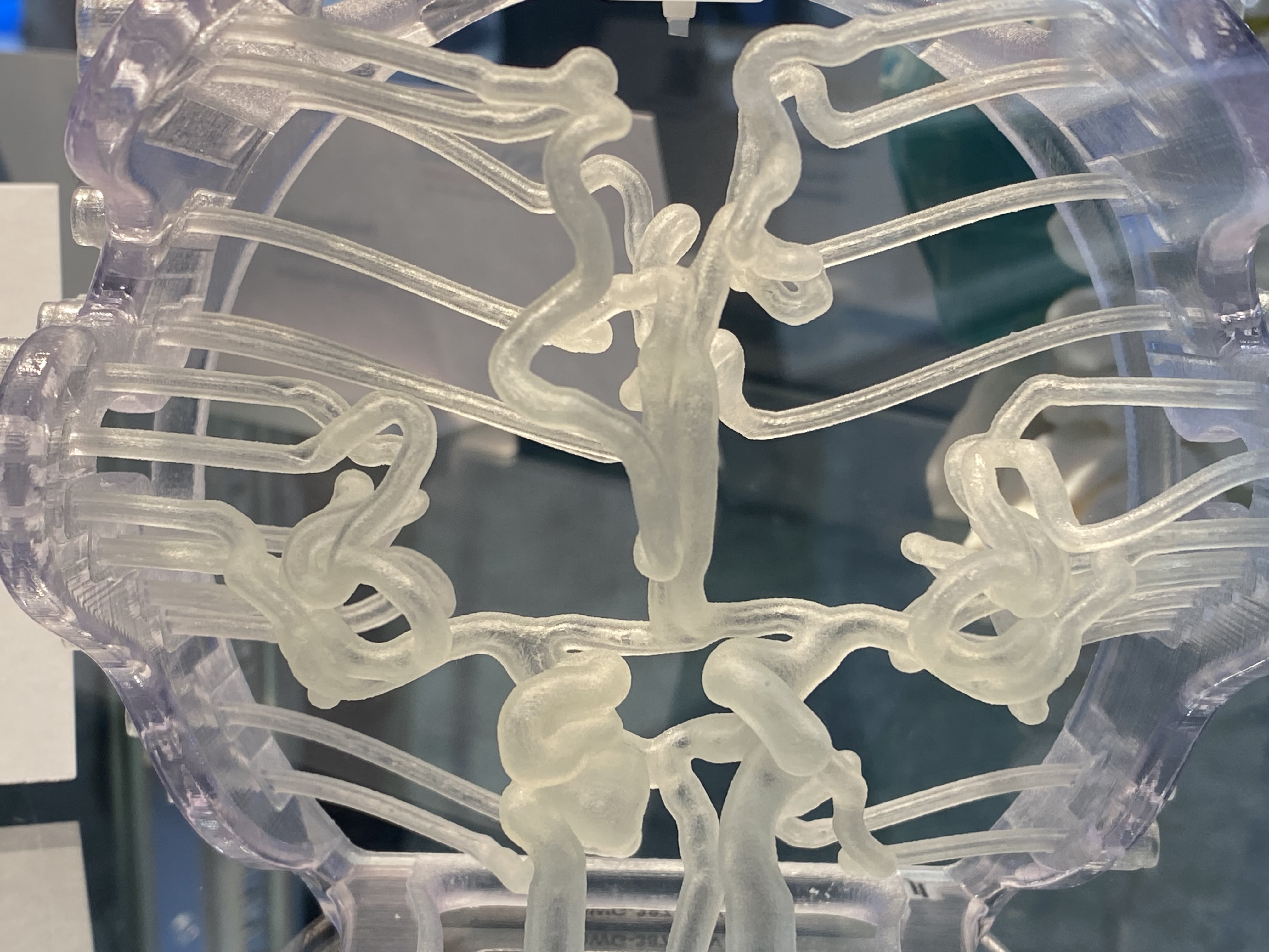 PHOTO GALLERY of brain imaging