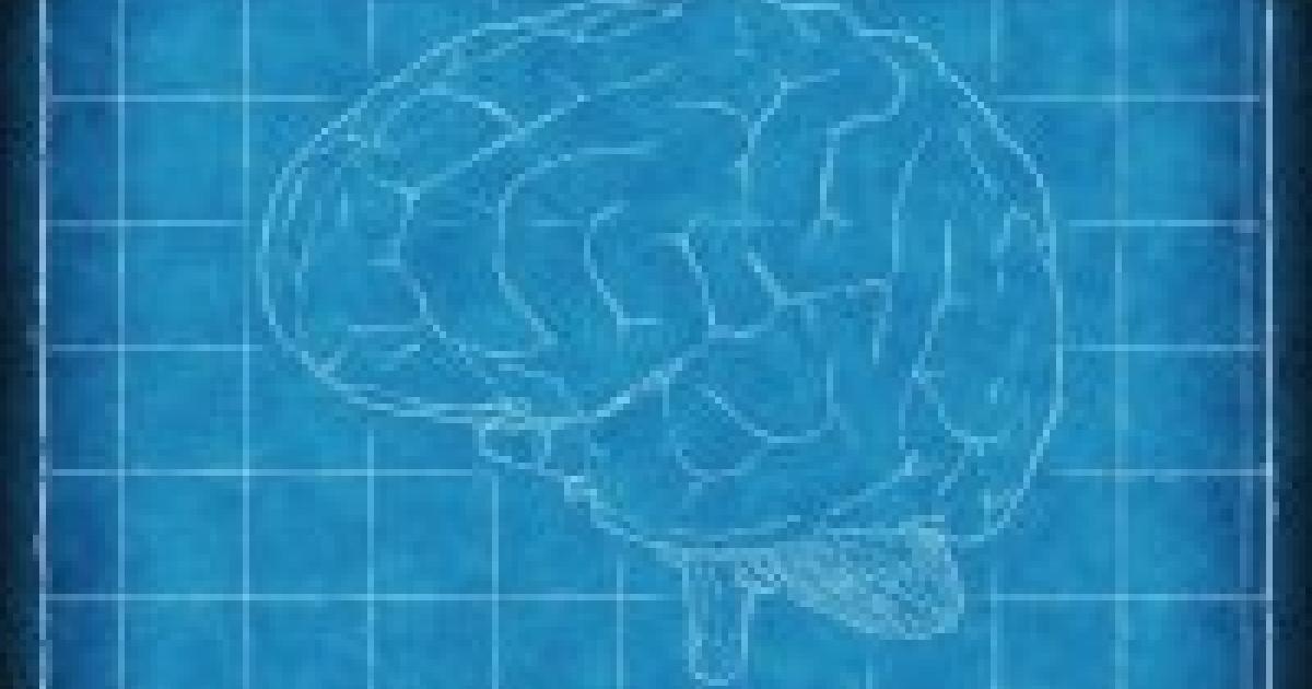 Yale researchers link genetics, imaging to improve analysis of brain’s ...