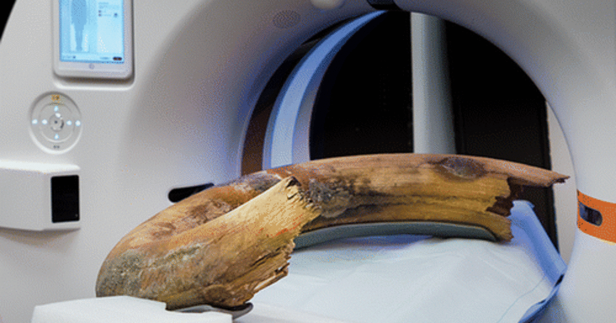 A mammoth accomplishment: CT captures images of an entire ancient tusk