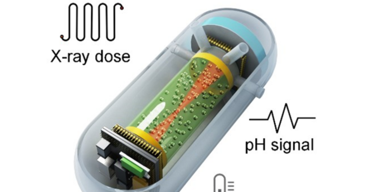 Swallowable capsule monitors radiation dose in real-time during ...