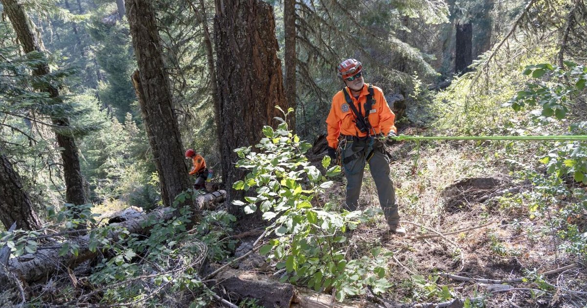 Radiologist's remains found over a year after disappearance