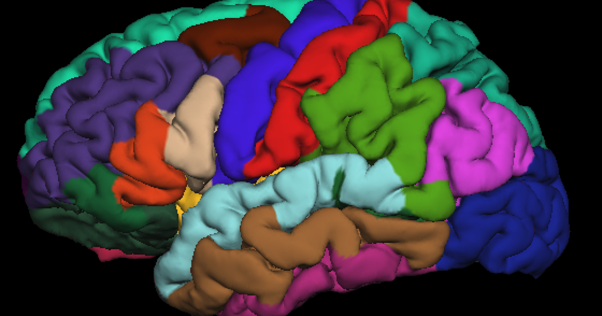Obesity correlated with premature aging of the brain