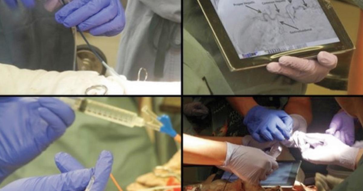 1st-year med students edified by intro to interventional radiology