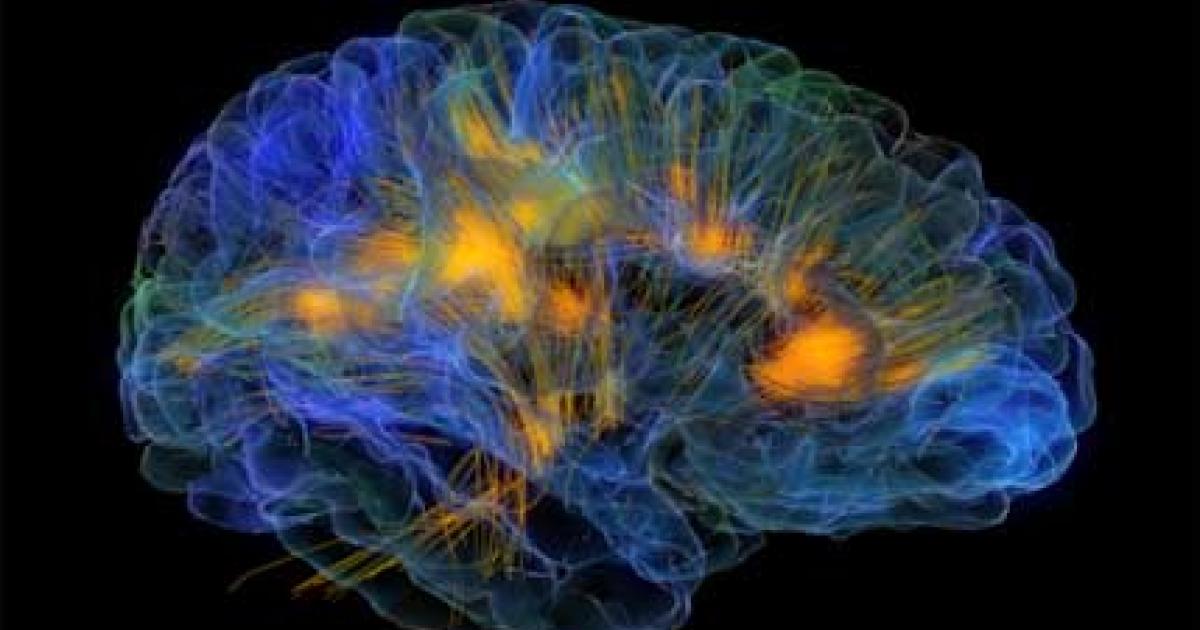 Glass Brain shows 3D detail of brain connectivity